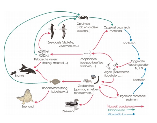 IMIS | Flanders Marine Institute