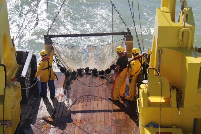 Beam Trawl Shoes - The Best Picture Of Beam