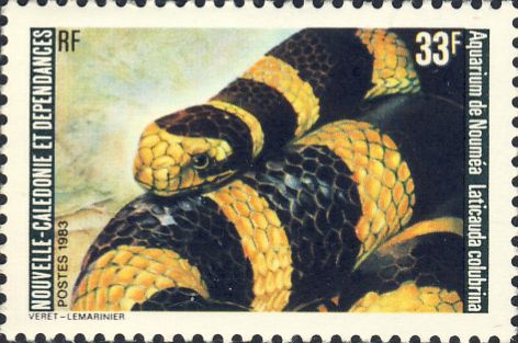 WoRMS - World Register of Marine Species - Photogallery